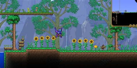 The Best Wings In Terraria