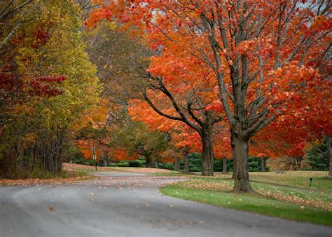 Fall Foliage Photos Autumn Colors Showing In Central New York