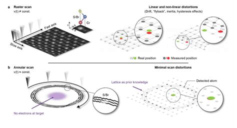 Precise Electron Control Enables Single Atom Imaging And Dynamic