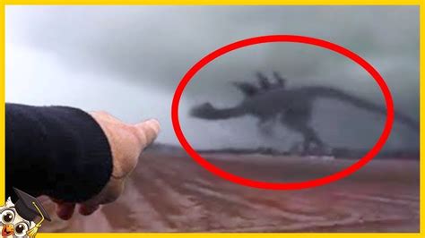 Avistamentos Da Vida Real De Godzilla Godzilla Brasil Cenas Do