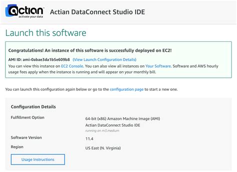View The Instance On The EC Console