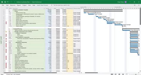 PROJECT MANAGEMENT TEMPLATES Software Localization Network Upgrade Planner 37 00 PicClick UK