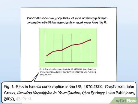 4 Ways To Cite A Graph In A Paper WikiHow