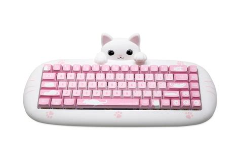 Cute Computer Keyboard