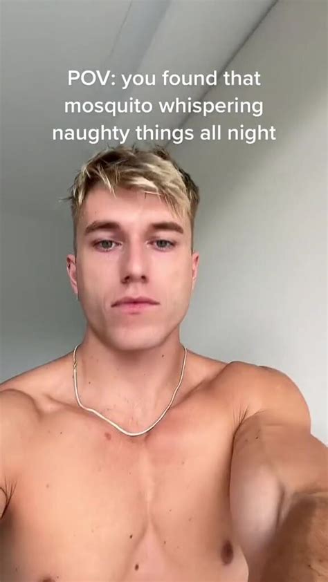 Mosquitos Trend Tic Toc 16