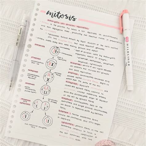 Aesthetic Biology Notes Artofit