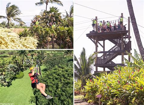 Maui Zipline Company Photos Video And Info On Waikapu Zipline Tours
