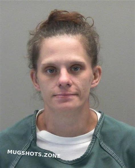 Self Courtney M 03242025 Clark County Mugshots Zone