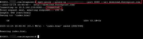 How To Use Cli Nc And Wget Proxy Commands To Test Appliance Connectivity To External Hosts