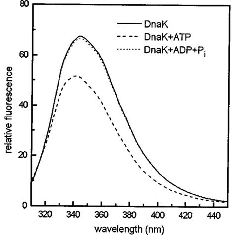 Model Of The Dnakdnajgrpe Chaperone Machine Interaction With A