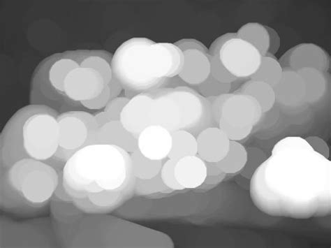 Dilation Algorithms Performance Of Decomposed Strels Steve On Image