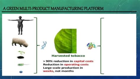 Biotech Business Plan Proposal Ppt