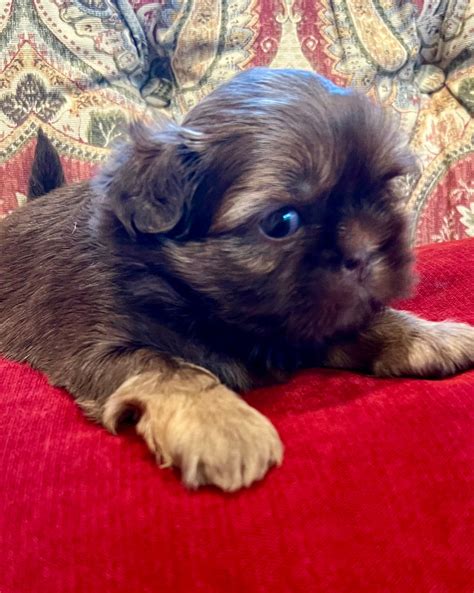 Galileo Nutmeg Farms