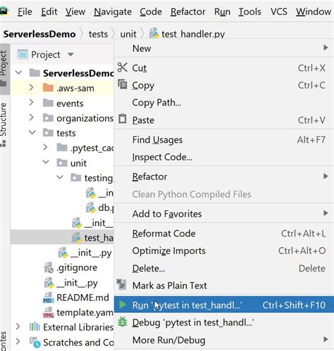 Testing JetBrains Guide