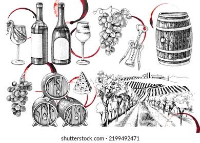 Hand Drawn Wine Set Sketches Wine Stock Vector Royalty Free