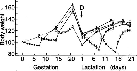 Effects Of Food Restriction During Gestation And Lactation On Maternal
