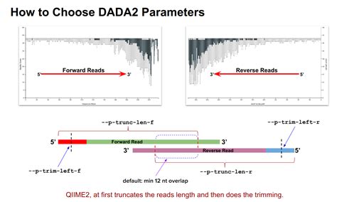 Understanding Dada2 Parameters General Discussion Qiime 2 Forum