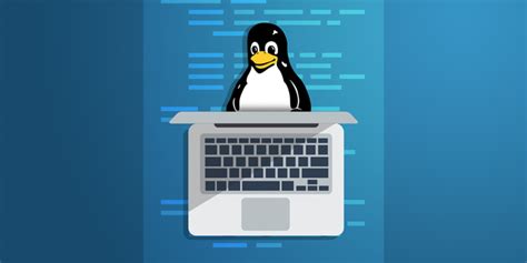 Go From Linux Command Line Novice To Ninja W Linux Power User Bundle