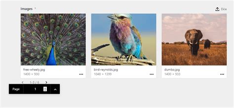 [panel] Files Pagination Page Label Missing And Need Translation