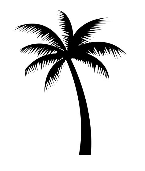 Palm Tree Silhouette Isolated Vector Illustration Eps10 24307993