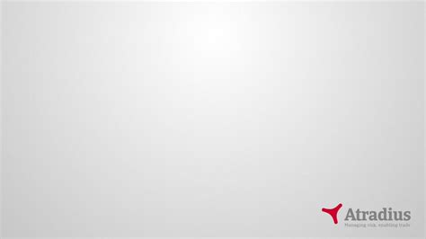 Alina Borca On Linkedin Atradiusglobal25