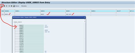 Techsap Sap Standard Function Module To Get User Details