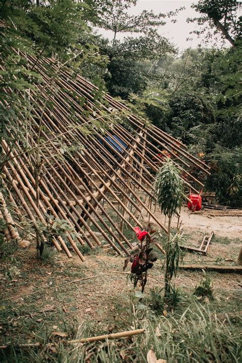Ever Wondered What The Bamboo Construction Process Looks Like Check Out These Behind The Scenes
