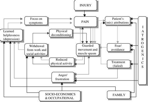 fmodel of disability illustrating influences of biomedical