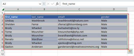 How To Copy Filtered Data In Excel