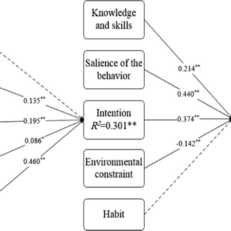 Adjusted Sem Based On Ibm Framework For The Mnp Adherence Download