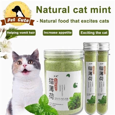 50ml Catnip Treat For Cats Cat Treat Catnip Catnip Powder And Catnip