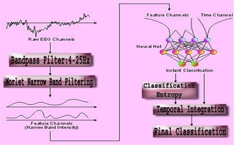 brain computer interface