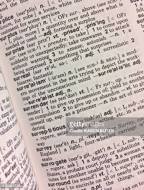 Webster Dictionary Page