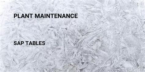 Plant Maintenance Table In Sap