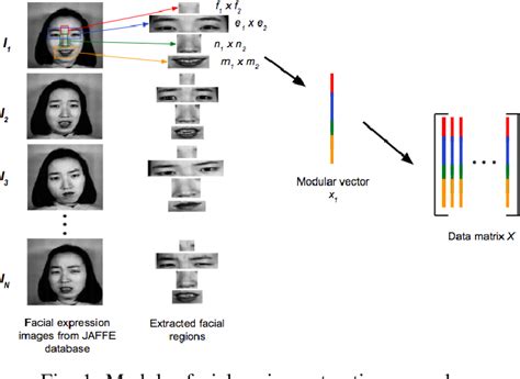 figure 1 from modular facial expression recognition on noisy data using