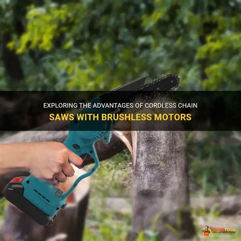 Exploring The Advantages Of Cordless Chain Saws With Brushless Motors | ShunTool
