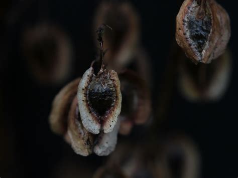 Internal Rate Of Return Understanding Its Impact On Investment Decisions Inspired Economist