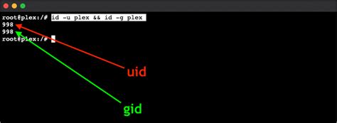 how to install plex media server in a proxmox linux container lxc