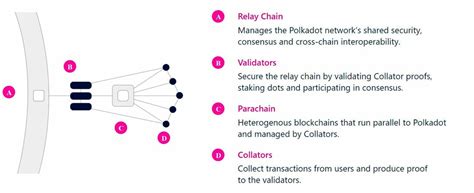 Polkadot Parachains Explained Suncrypto Academy