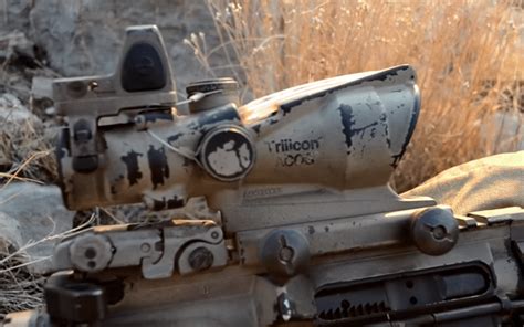 Lpvo Vs Acog Which Should You Choose In 2023