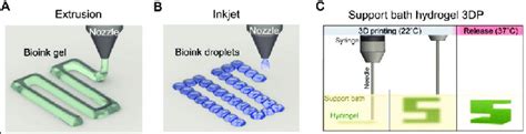 Extrusion Based 3d Bioprinting A For Extrusion Based Bioprinting Download Scientific Diagram