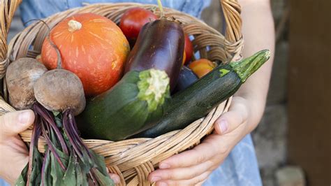 Лунный календарь садовода и огородника на 6 сентября 2025 благоприятный ли день для посадок и