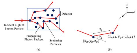 3 A Propagation Of Photon Packets Inside A Turbid Medium Here