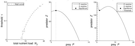 different parameter values for nutrient load n t and feeding