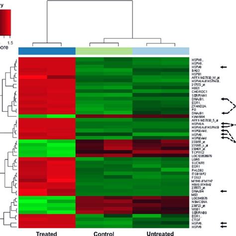 Heat Map On Gene Expression Summarizing Transcripts Showing Download Scientific Diagram