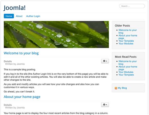 the safe way to load custom css in protostar template