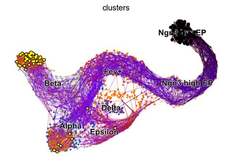 Cellrank Meets Rna Velocity Cellrank Documentation