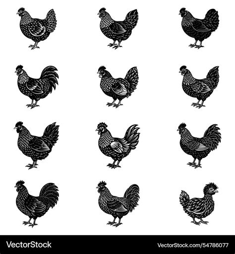 Chicken Royalty Free Vector Image Vectorstock