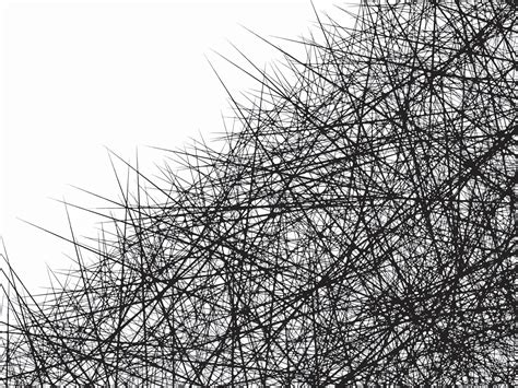 Messy Tangled Abstract Sharp Dark Lines Vector Background Isolated On White Landscape Template
