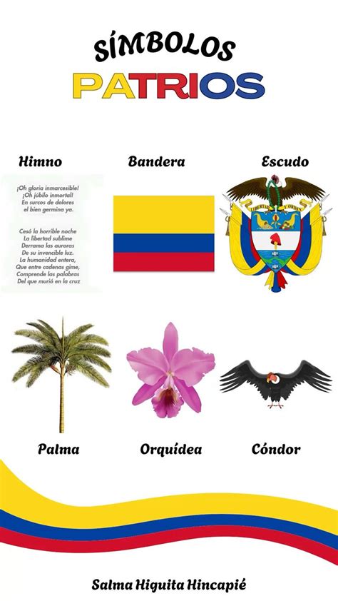 Símbolos Patrios De Colombia Escudo De Colombia Dibujo Facil